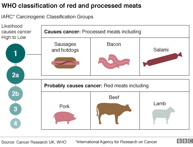 Breaking News World Health Organization Says Processed And Red Meats