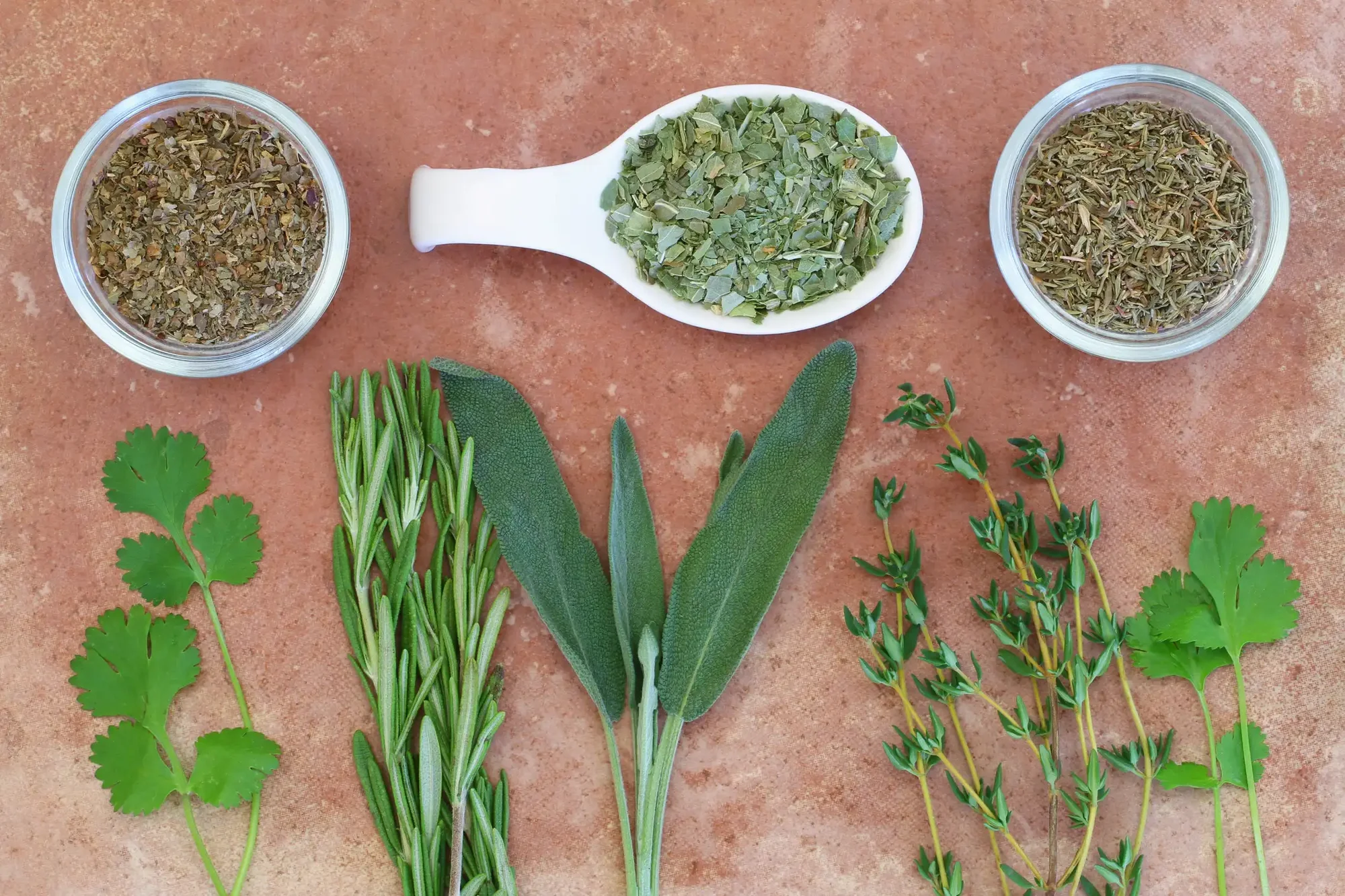 Fresh-to-Dried Herb Conversion Guide (Plus Garlic, Onion Powder ...
