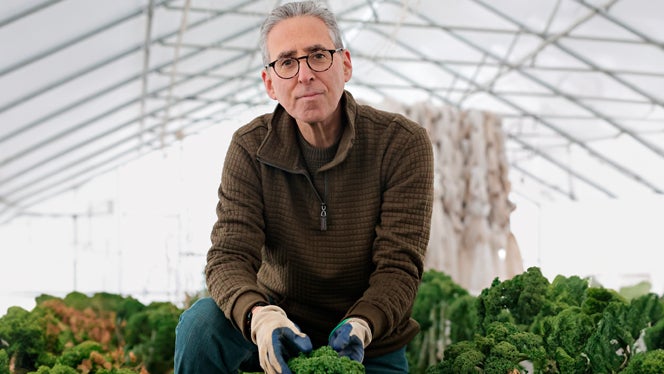 Cultivating Health: Meet the Doctor Combining Medicine and Farming ...