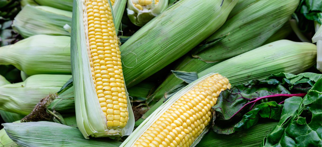 Handy Facts About Corn and How to Use It - Forks Over Knives