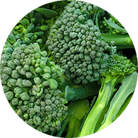 The FOK Diet Explained - Forks Over Knives