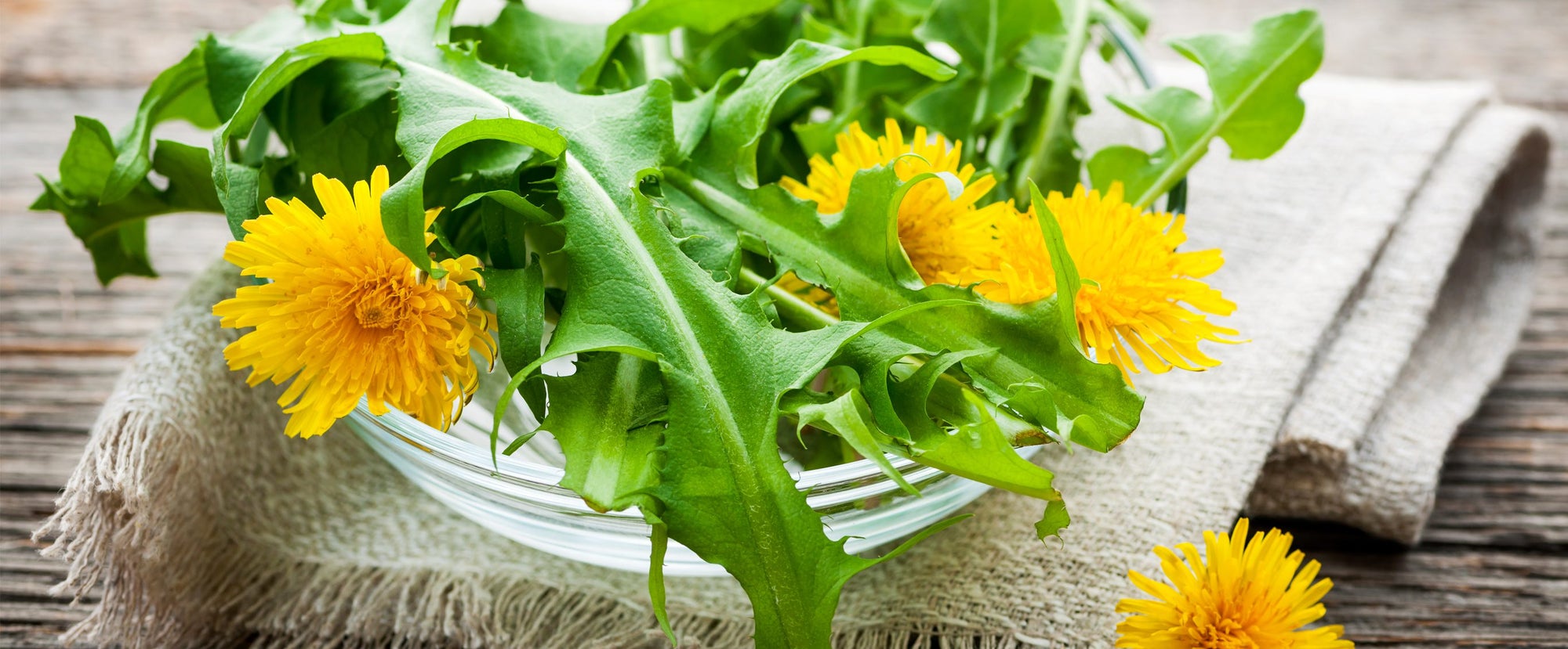 Ingredient IQ: Dandelions - Forks Over Knives