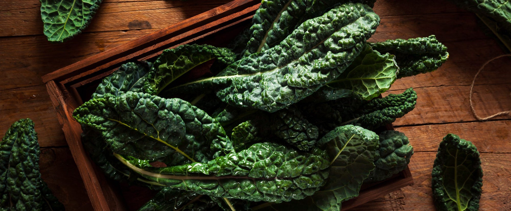 What is Kale and How Do You Cook It? - Forks Over Knives