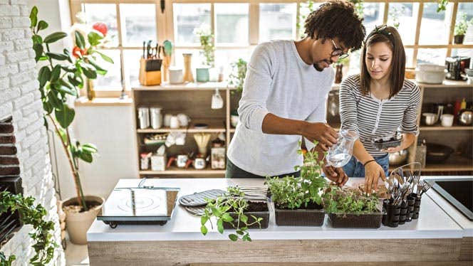 Editors' Picks: Eco-Friendly Kitchen Products For a Greener Home ...