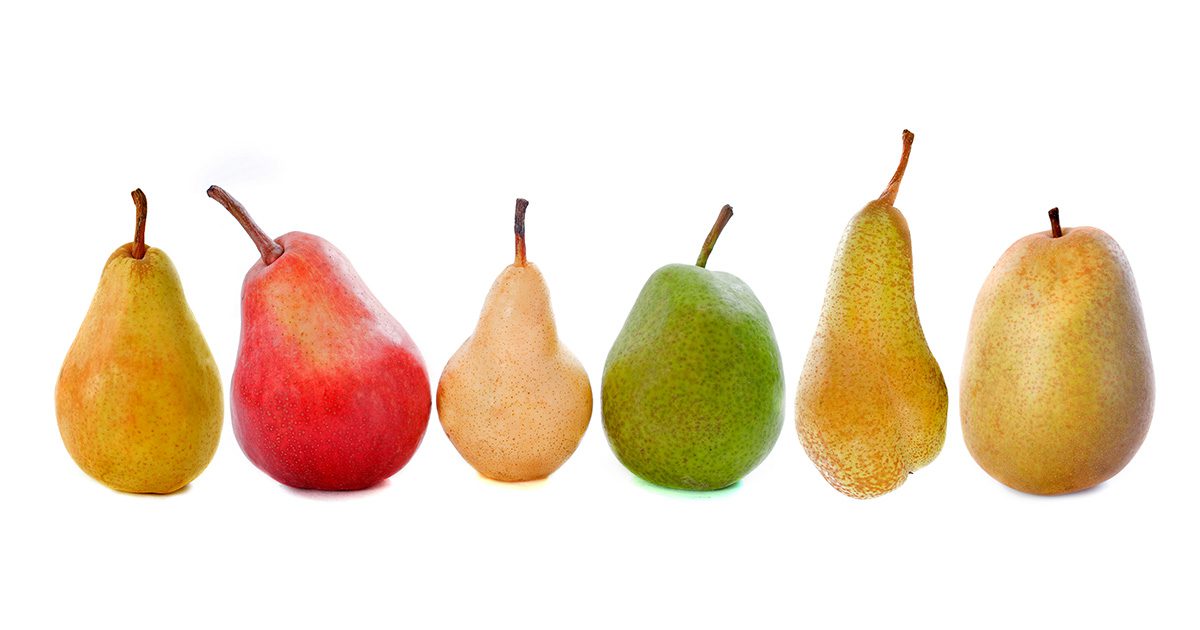 Kinds Of Pears List