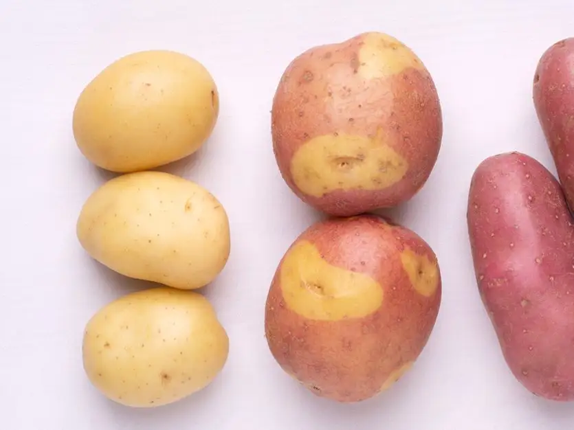 how to cook vitelotte potatoes